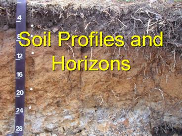 Soil Profiles and Horizons presentation | free to view