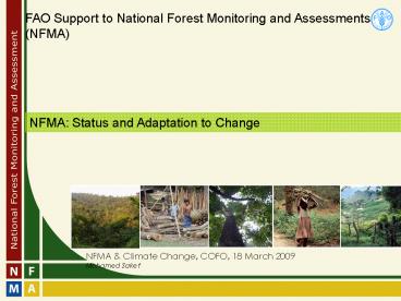 NFMA presentation | free to download