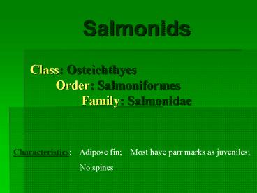 PPT – Class: Osteichthyes Order: Salmoniformes Family: Salmonidae ...