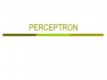 PERCEPTRON presentation | free to view