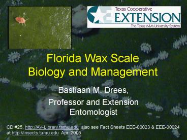 Florida Wax Scale Biology and Management presentation | free to view
