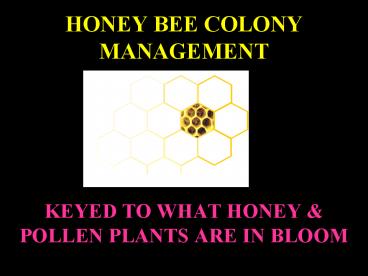 HONEY BEE COLONY MANAGEMENT presentation | free to view