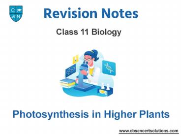 Photosynthesis In Higher Plants Class 11 Notes PDF Download Photo ...