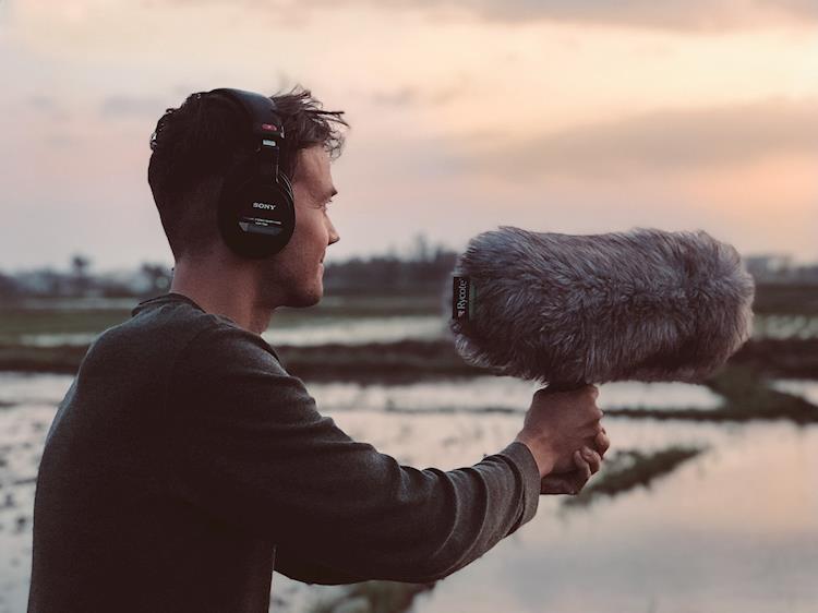 The Importance of Sound