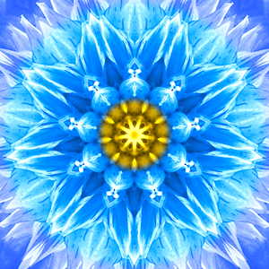 Blue Bliss | ProductionHUB