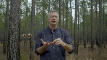 Presenting an Inside Look into Sint Maarten PM Silveria Jacobs ...