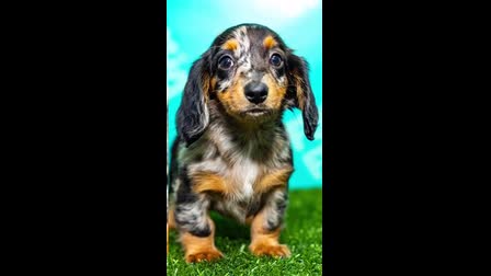 Beloved | ProductionHUB