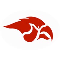 Cedar Springs High School | Cedar Springs, Michigan
