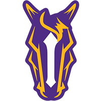 Rise Above Football Camps | Spring Hill High School | Spring Hill, KS