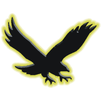 Go-Hawk Performance Enhancement Summer Camp