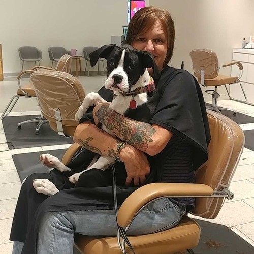 Brooke Farkas - Hair Stylist, Westlake - Westlake, Ohio
