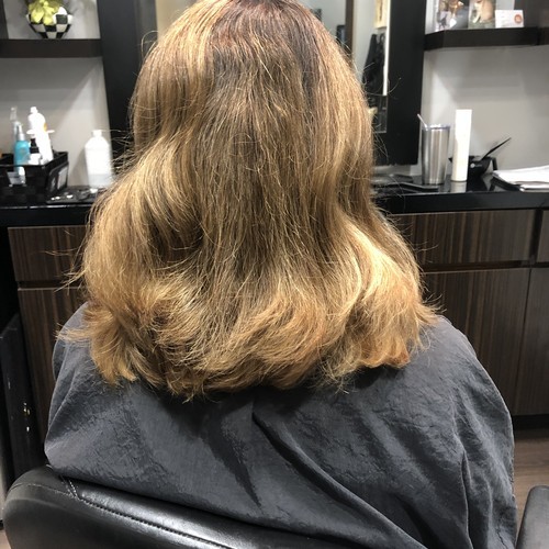 Alison Owens - Hair Stylist, S. Dale Mabry - Tampa, Florida