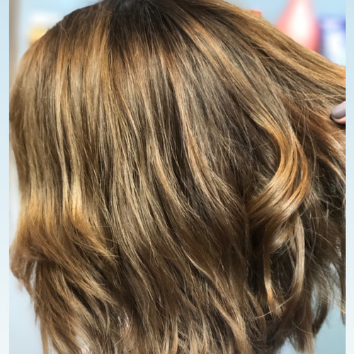 Lisa Bruce - Hair Stylist, Wesley Chapel - Wesley Chapel, Florida
