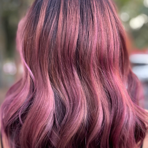 Lisa Bruce - Hair Stylist, Wesley Chapel - Wesley Chapel, Florida
