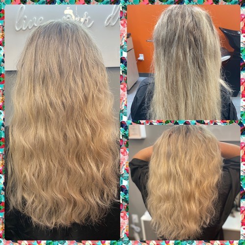 Jimmy N - Hair Stylist, Paradise Plaza - Sarasota, Florida