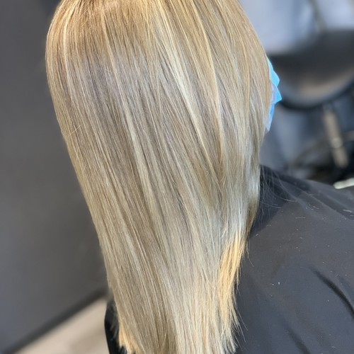 Lester Miranda - Hair Stylist, Westchase - Tampa, Florida