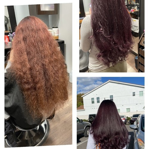 Debbie Hendrickson - Hair Stylist, S. Dale Mabry - Tampa, Florida