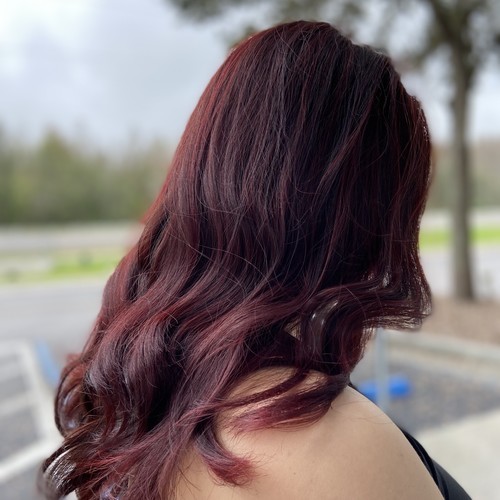 Lisa Bruce - Hair Stylist, Wesley Chapel - Wesley Chapel, Florida