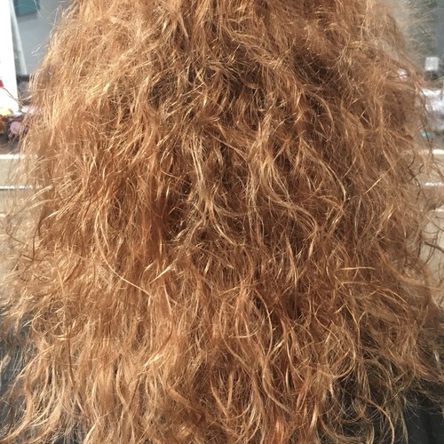 Jennifer Mayle - Hair Stylist, Gahanna Cherry Bottom - Gahanna, Ohio