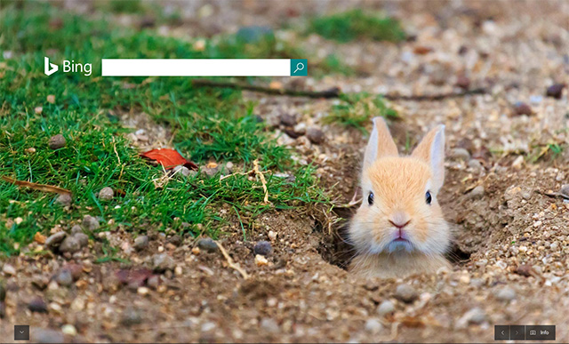 No Easter Logo From Google Again But Bing & Ask.com Have Easter Themes