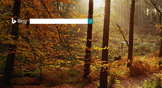 Autumnal Equinox & Fall Themes From Google, Bing, Dogpile & More