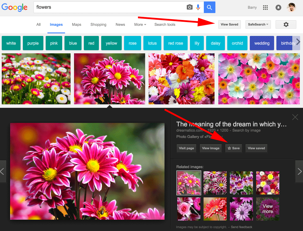 Google Image Search Save Image To Gallery