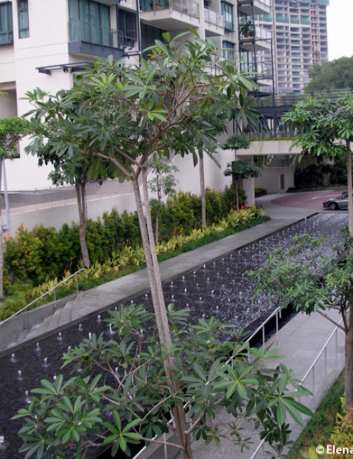 Rivergate Complex - The Skyscraper Center