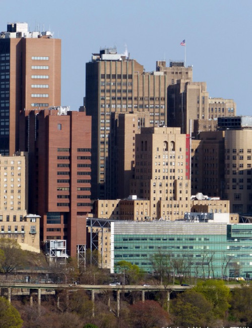 William Black Medical Research Building - The Skyscraper Center
