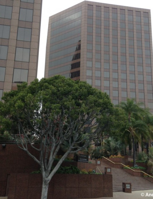 Figueroa Plaza I - The Skyscraper Center