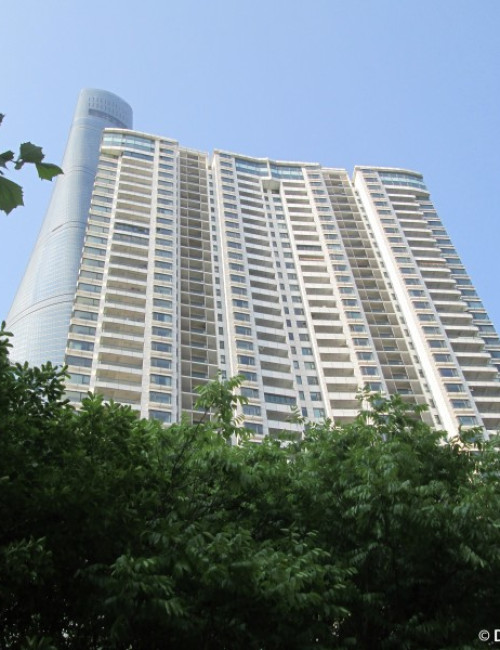 Shengda Jinpan Complex - The Skyscraper Center