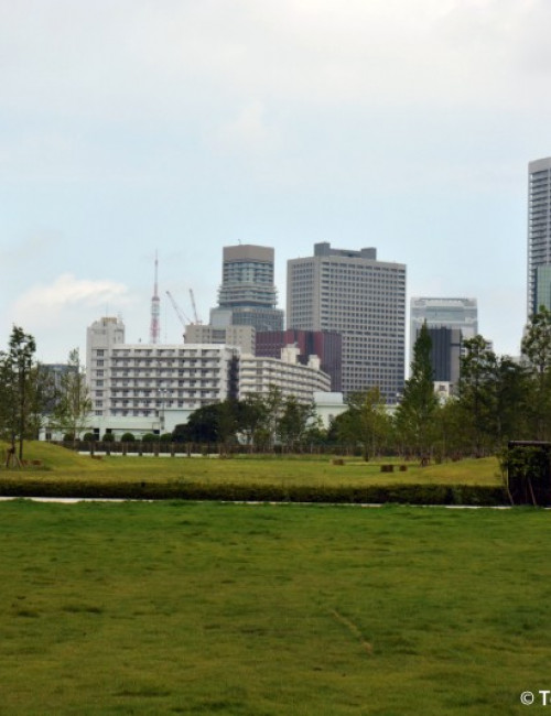 Capital Mark Tower - The Skyscraper Center