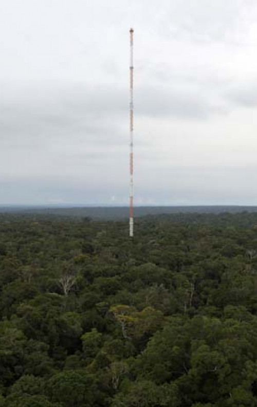 Amazon Tall Tower Observatory - The Skyscraper Center