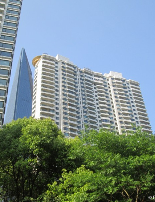 Shengda Jinpan 3 - The Skyscraper Center
