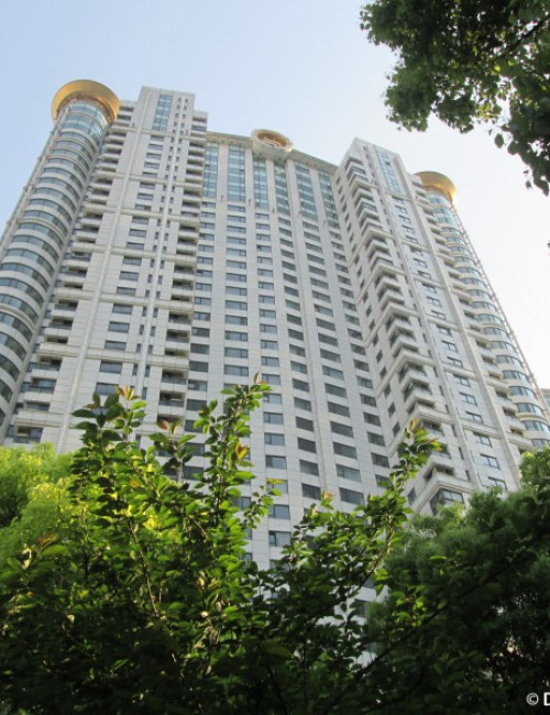 Shengda Jinpan 3 - The Skyscraper Center