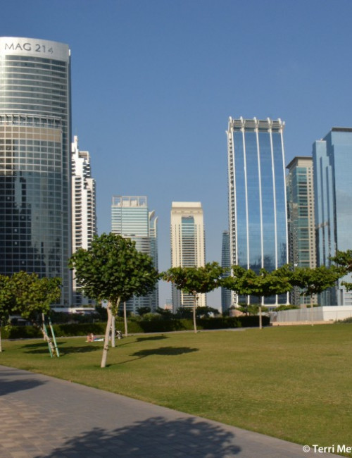 MAG 214 - The Skyscraper Center