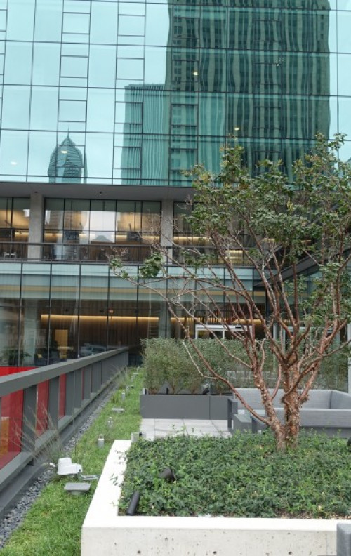 Optima Signature - The Skyscraper Center