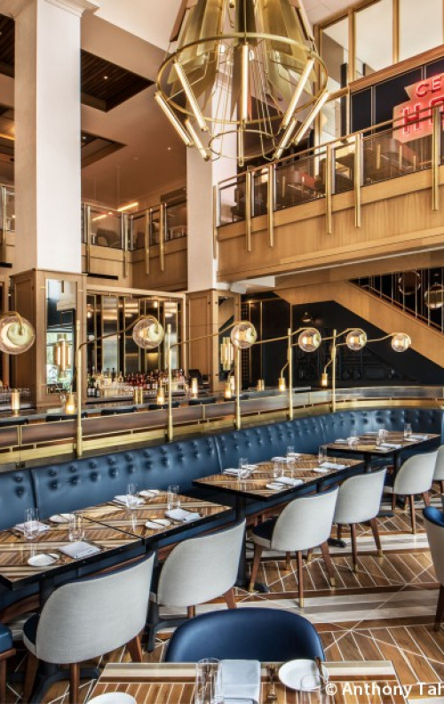 Viceroy Chicago - The Skyscraper Center