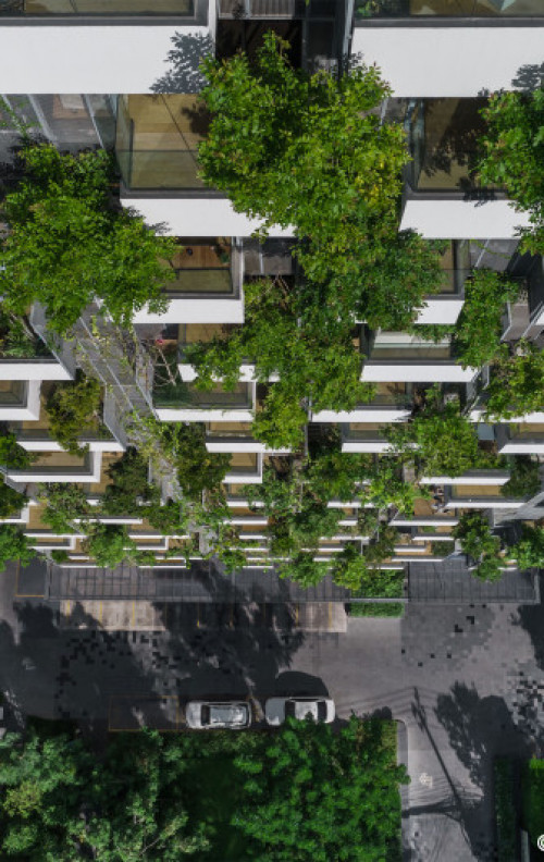 Siamese Exclusive 31 - The Skyscraper Center