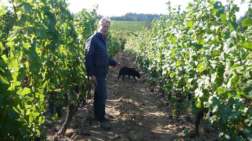 Oregon: An Embarrassment of Riches and Richness (Jun 2019) | Vinous ...