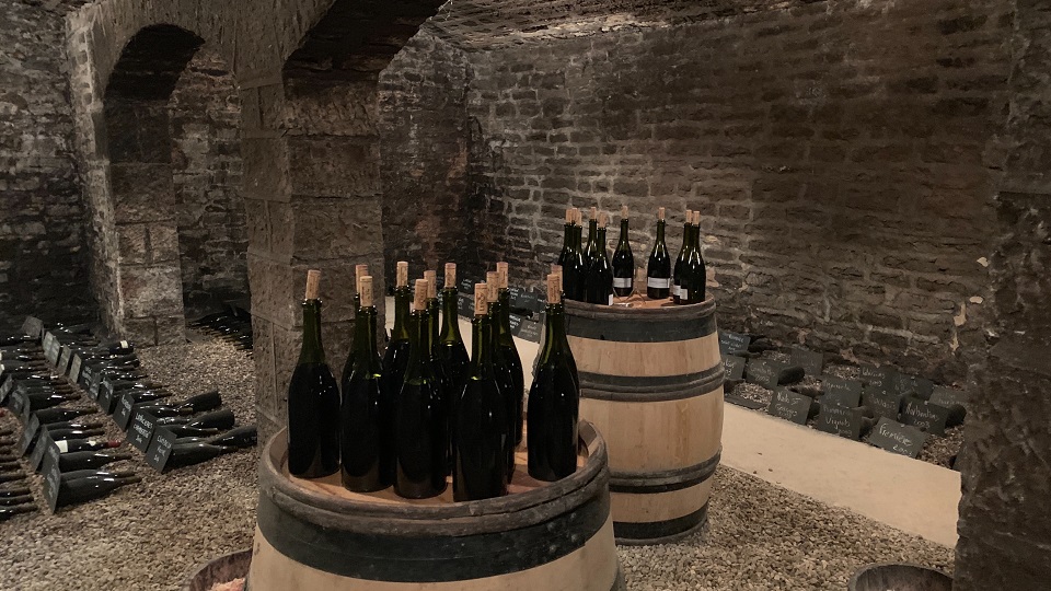 Domaine Leroy – The Bottled 2016s (Jun 2019) | Vinous - Explore All ...