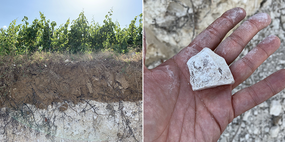 The 2019 Champagne Summer Preview (Jul 2019) | Vinous - Explore All ...