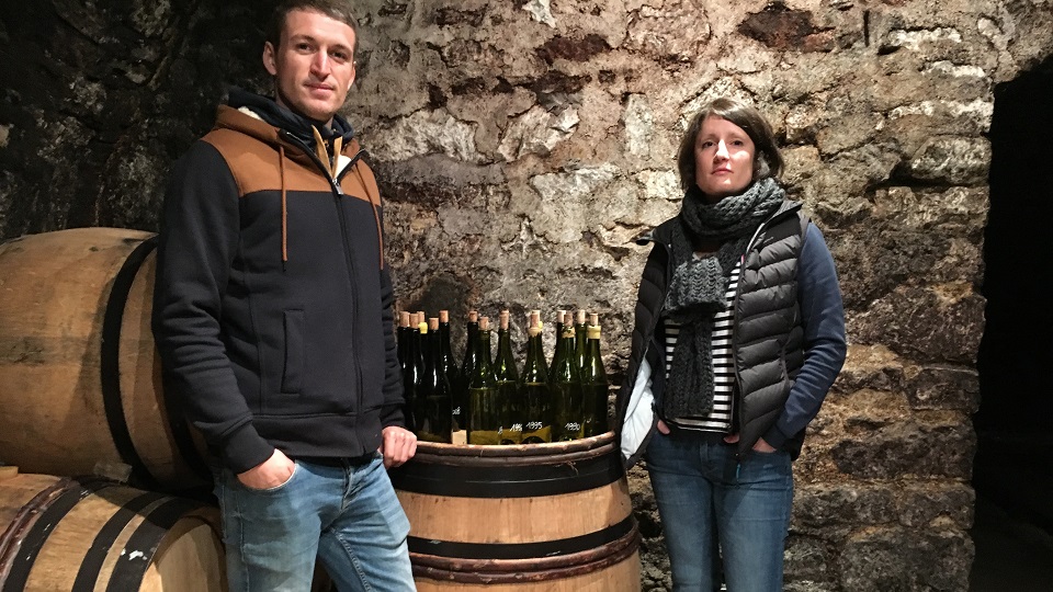 Raveneau Chablis Montée de Tonnerre: 1985-2015 (Aug 2019) | Vinous ...