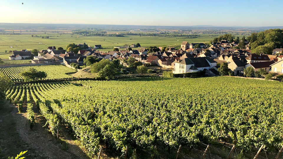 Marquis d’Angerville’s Volnay Clos des Ducs: 1920-2017 (Oct 2019 ...