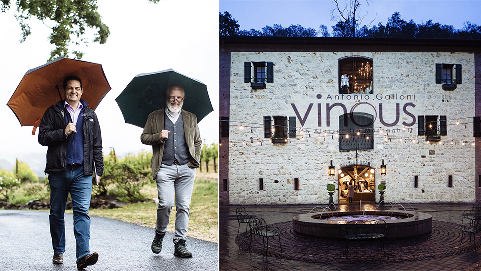 2019 – The Year in Review (Dec 2019) | Vinous - Explore All Things Wine