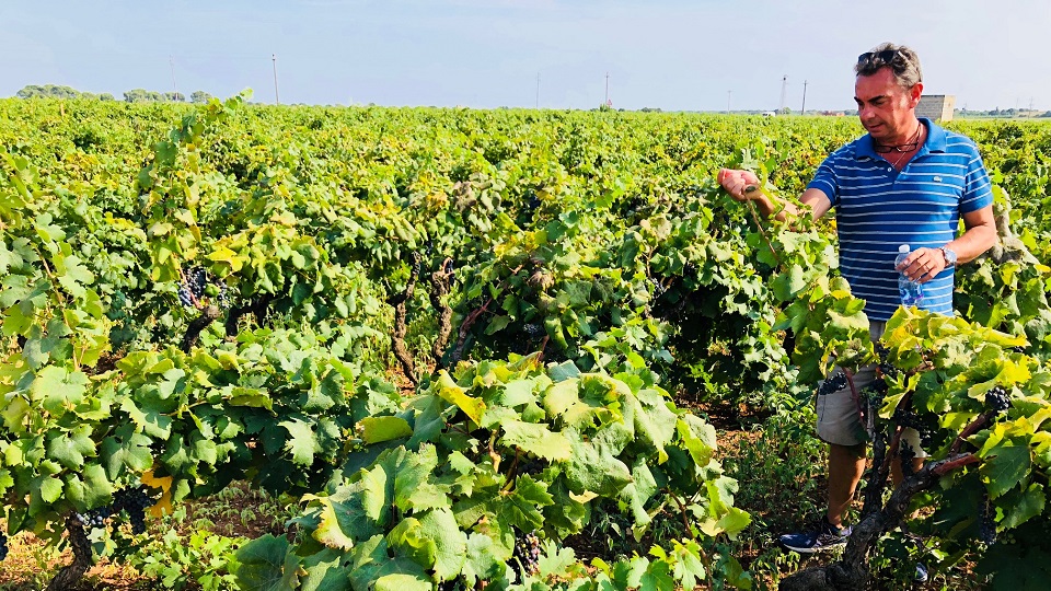 Latest Releases: Calabria, Basilicata, Puglia and Sardinia (Feb 2020 ...