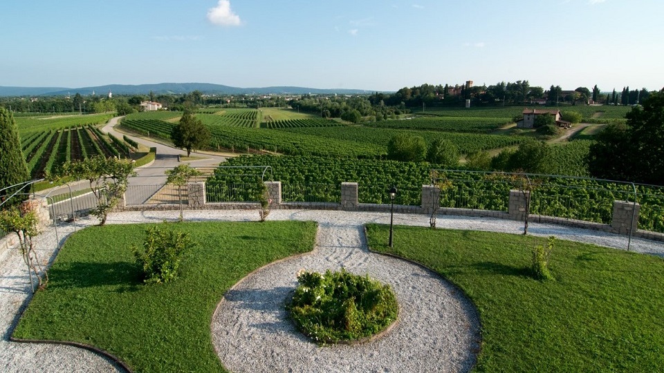 Schiopetto Friulano: 1992-2017 (Mar 2020) | Vinous - Explore All Things ...