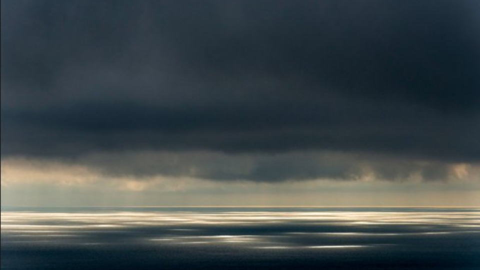 The Last Supper...For Now (Apr 2020) | Vinous - Explore All Things Wine