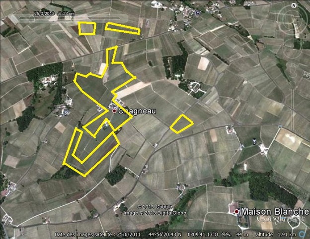 Hopes and Dreams: Canon Chaigneau 1998-2019 (May 2020) | Vinous ...