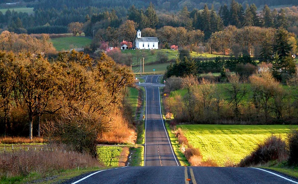 Oregon Pinot Noir: The Winning Streak Continues (Jul 2020) | Vinous ...