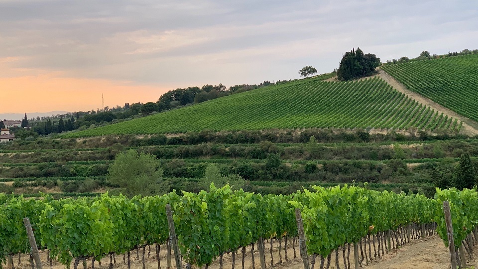 Chianti Classico: More Than Meets The Eye (Sep 2020) | Vinous - Explore ...